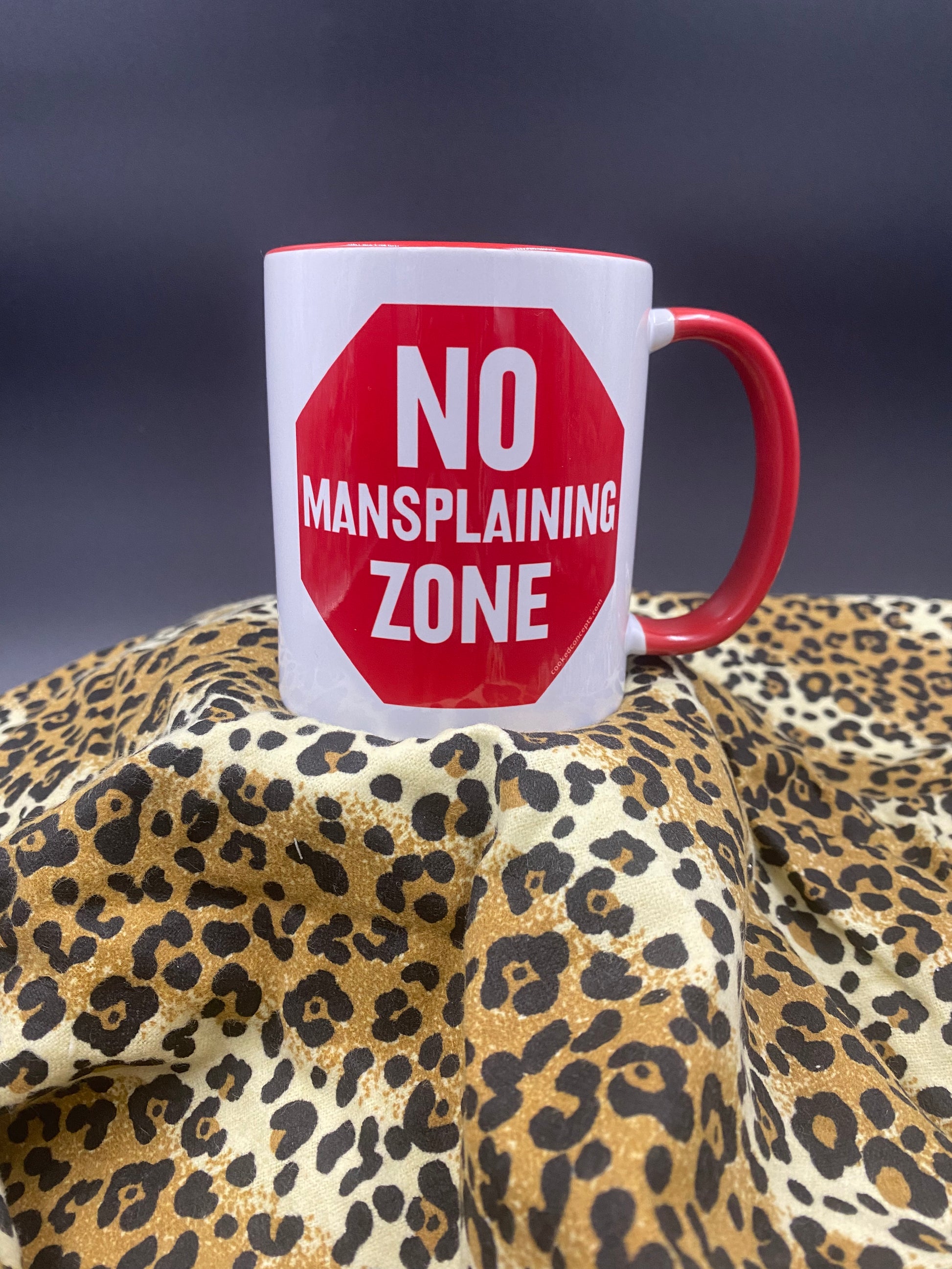No Mansplaining Mug – Cooked Concepts